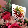 3drose, Chili Color Wheel Vector, 6 Greeting Cards with Envelopes ...