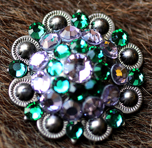 4 Conchos Rhinestone Horse Saddle Western Berry Green & Purple CO17 ...
