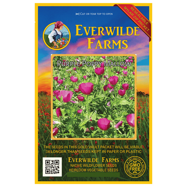 Everwilde Farms - 15 Purple Poppy Mallow Native Wildflower Seeds - Gold ...