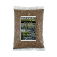 Wheat Cover Crop Seeds - Non-GMO Winter Wheat - Deer & Turkey Food Plot ...