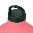 Bubba Trailblazer 84 oz Electric Berry Insulated Stainless Steel Water ...