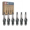 8 pc Champion 443 Copper Plus Spark Plugs for 5149002AA RE16MC Ignition ...