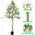 7Ft Indoor/Outdoor Silk Artificial Olive Tree - Perfect for Home ...