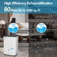 SAHAUHY 80 Pints Dehumidifier for Home Basement Large Room Spaces up to ...