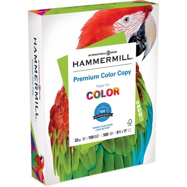Hammermill Copy Paper, 28 lb, 100 Brightness, 8.5x14, Photo White, 500 ...