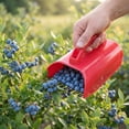 Chamomile Harvester with Stainless Steel Comb, Ergonomic Herb Picker ...