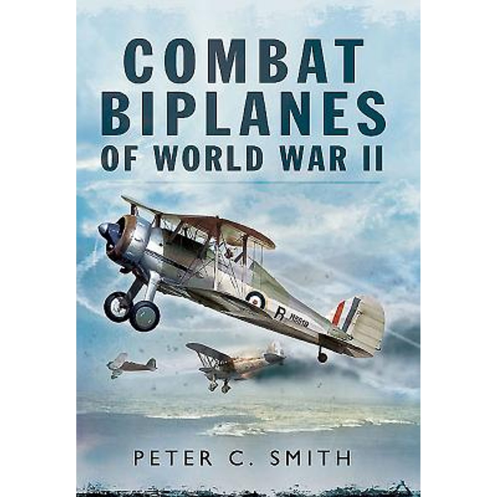 Pre-Owned Combat Biplanes of World War II: A Personal Selection ...