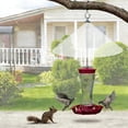 19 Inch PP Squirrel Baffle for Outdoor Bird Feeders - Hanging Bird ...