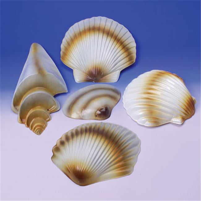 US Toy Company HL187 Sea Shell Decoration-5-Pc - Walmart.com - Walmart.com