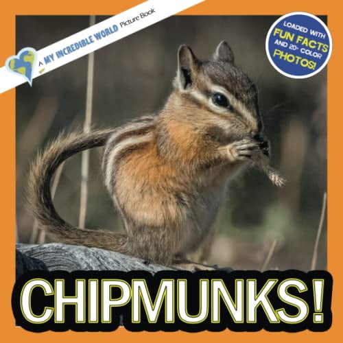 Chipmunks World