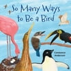 Birds (Board Book) - Walmart.com
