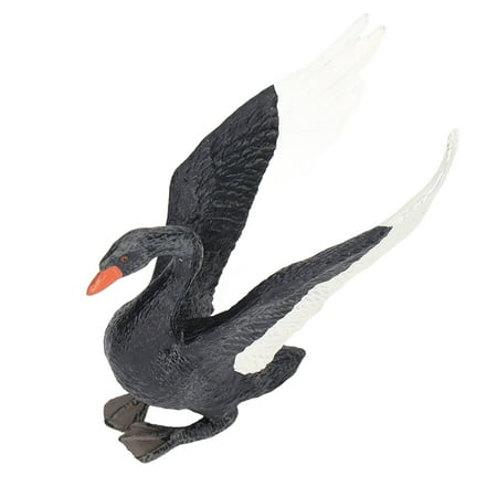 Black Swan Figurine, Premium PVC Lifelike Appearance Black Swan Model ...