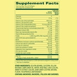 Spring Valley Prenatal Mini Multivitamin/Multimineral Supplement, Mini ...