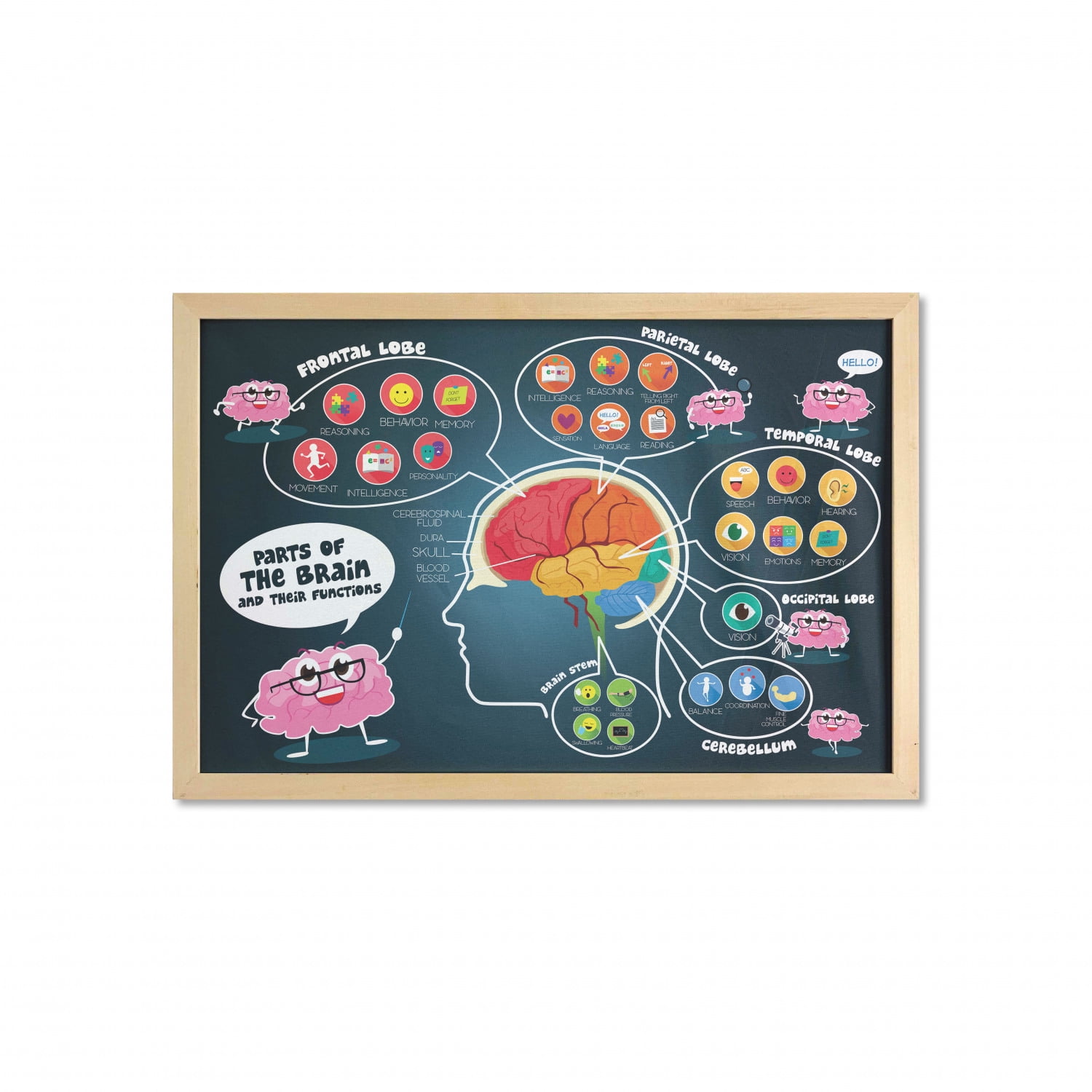 Biology Wall Art with Frame, Educational Science Cartoon Illustration ...