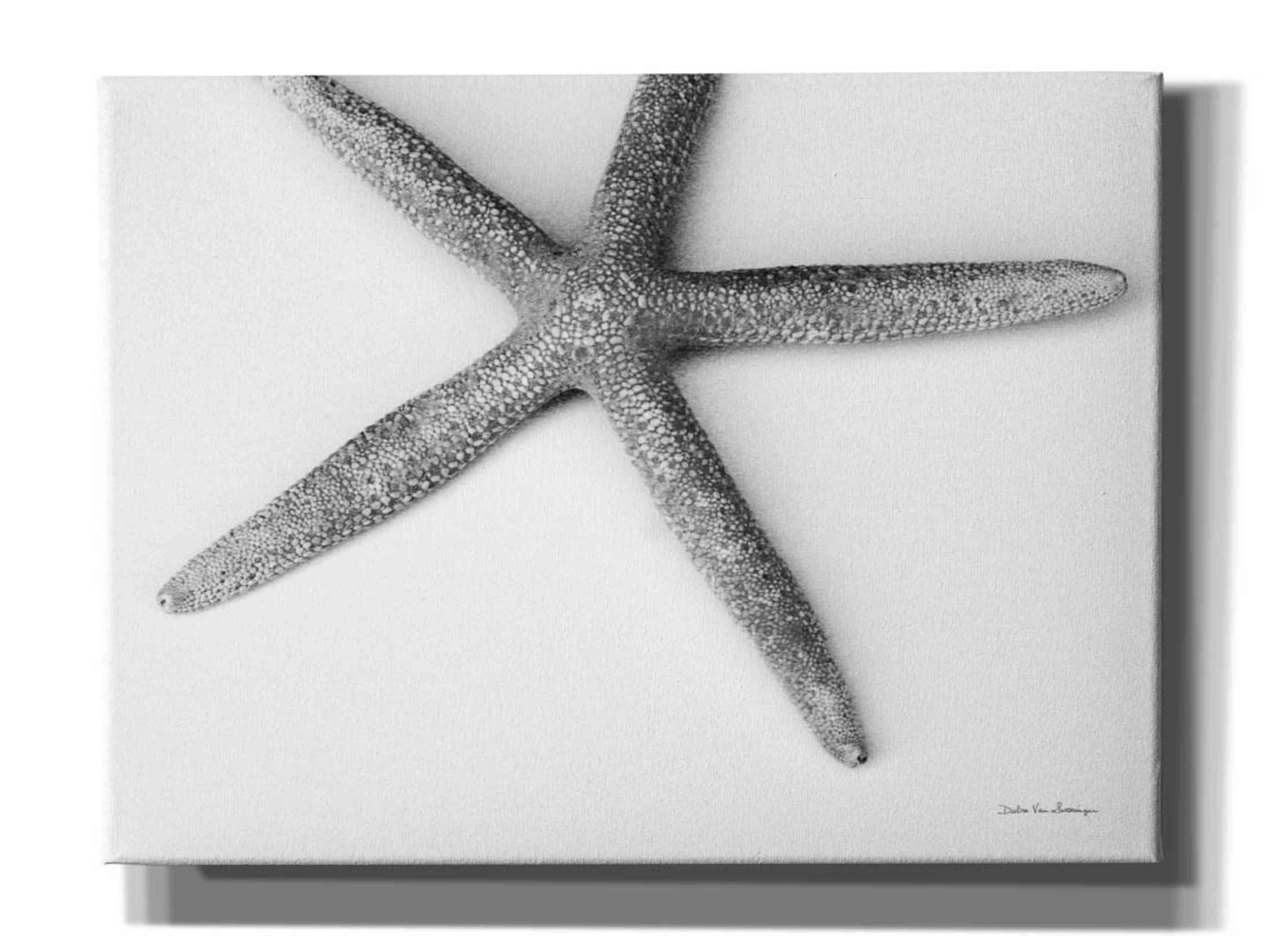 Epic Graffiti 'Starfish Detail' by Debra Van Swearingen, Canvas Wall ...