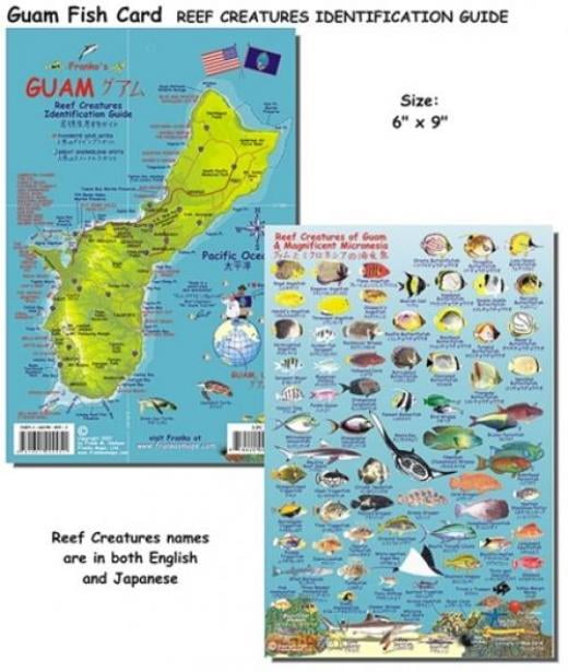 Franko Maps Guam Fish ID for Scuba Divers and Snorkelers - Walmart.com