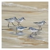 Masterpiece Art Gallery Sandpiper Beach II Amber by Studio Arts Canvas ...
