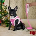 Pet Artist Warm Fleece Small Dog Vest Harness and Leash for Pet Puppy ...