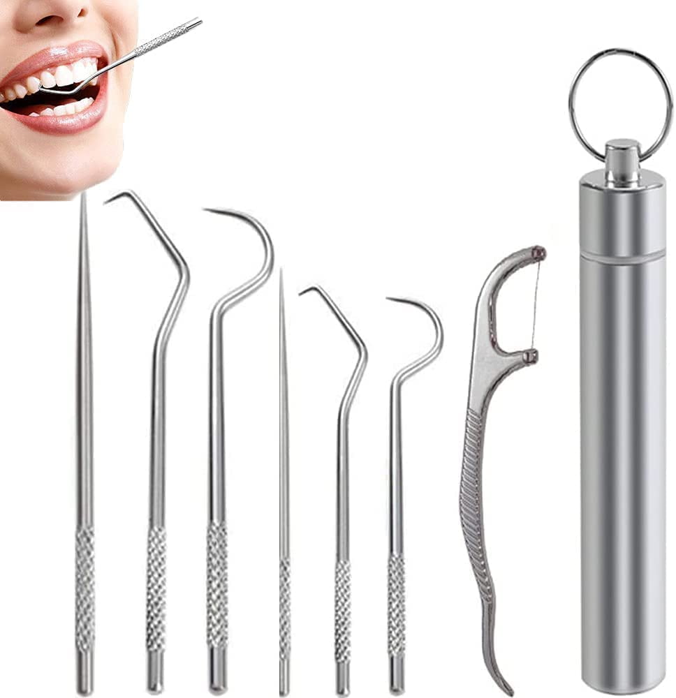 Stainless Steel Toothpick Set,7pcs Portable Stainless Steel Toothpicks ...
