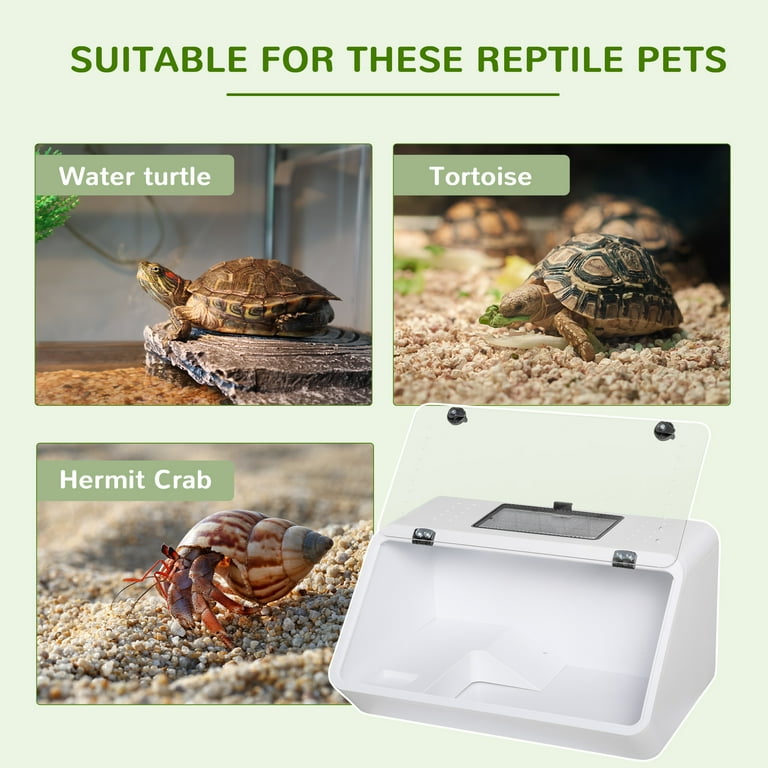 Pet Turtle Tank
