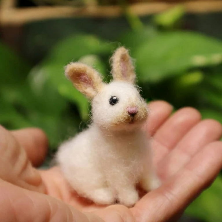 Smallest Bunny In The World