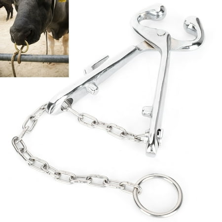 Gupbes Cow Nose Stainless Steel Cattle Nose Ring With Chain Cattles ...