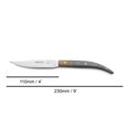 ARCOS Steak Knife in Nitrum Stainless Steel. 4 Inch Non Serrated Steak ...