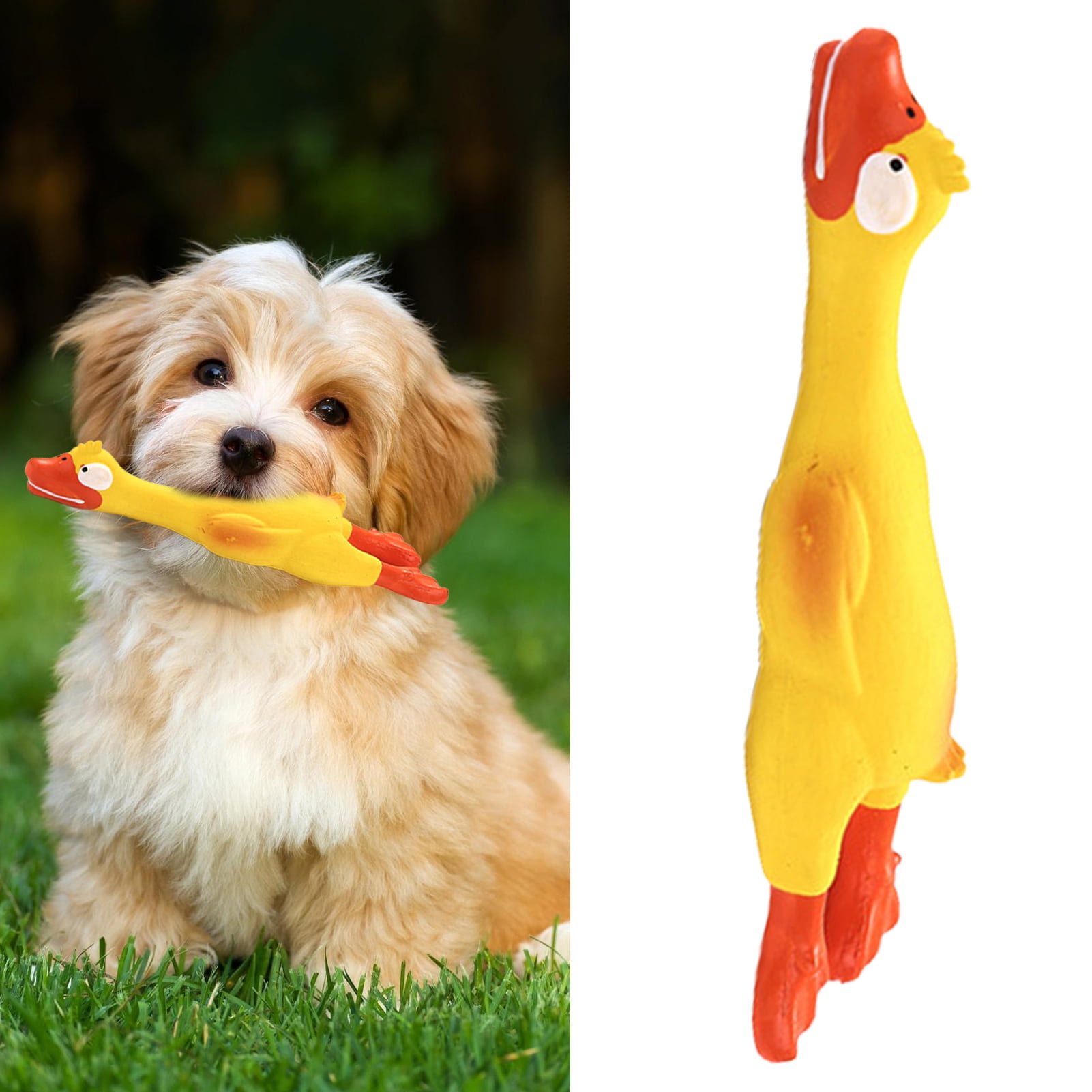 Hadanceo Pet Dog Toy Squeaky Built-in Sound Relieve Boredom Teeth ...