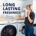 Persil ProClean Discs Laundry Detergent with Oxi Power Stain Fighter ...