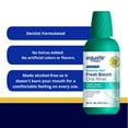 Equate Fresh Breath Oral Rinse Alcohol Free Mouthwash, Smooth Mint Flavor,16 fl oz - Walmart.com