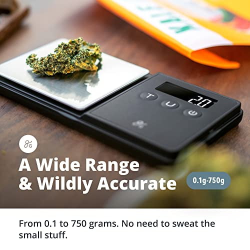 Greater Goods Digital Pocket Scale, Lab Analytical Scale, Gram Scale ...