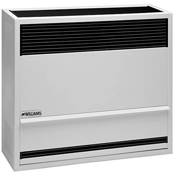 Williams -Direct-Vent Propane Gravity Wall Furnace 22000 BTU -2203821 ...