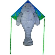 In the Breeze 3011 — Rainbow Conyne Delta Kite, 6-Feet, Single Line ...