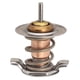 Gates 34049 Thermostat - Walmart.com