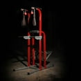 Stamina X Fortress Power Tower, Home Gym, Fitness & Workout System, Red ...