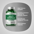 Piping Rock High Potency Mega Multi Mineral, Chelated Supplement, 120 ...