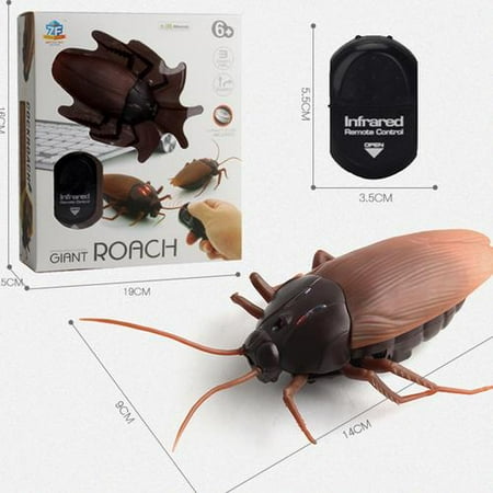 Electric Cockroach | Roach | cockroach | Insect