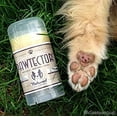 Dog Company PAWDICURE Bundle, Paw Soother PawTection Balms, Protect and ...
