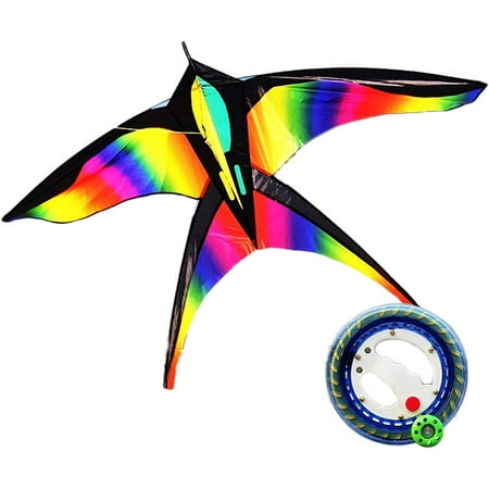 Beach Kites Rainbow Bird Color-Changing Kite Breeze Easy to Fly Swallow ...