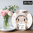 2D Flat, Easter Bunny Wall Hanging Decor 8x8 Inch Round Aluminum Sign ...