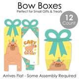 Big Dot of Happiness Capy Birthday - Square Favor Gift Boxes - Capybara ...
