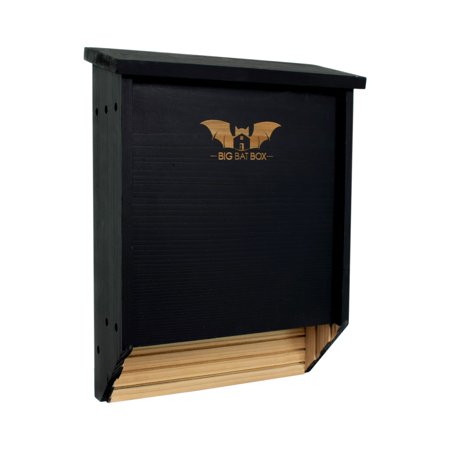 BIGBATBOX -Bat Houses for outdoors - With our proven Bat Box design ...