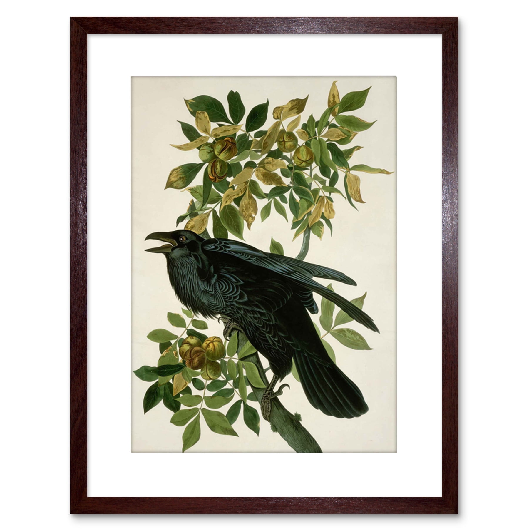 Painting Nature Animal Bird Audubon Raven Artwork Framed Wall Art Print ...
