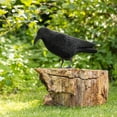 Navaris Crow Decoy - Fake Black Crow Decoy for Attracting Crows ...