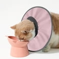 Soft Recovery Collar for Cats and Dogs with Foldable Design Flexible ...