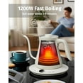 0.8L Gooseneck Electric Kettle, Precise Temperature Control for Pour ...