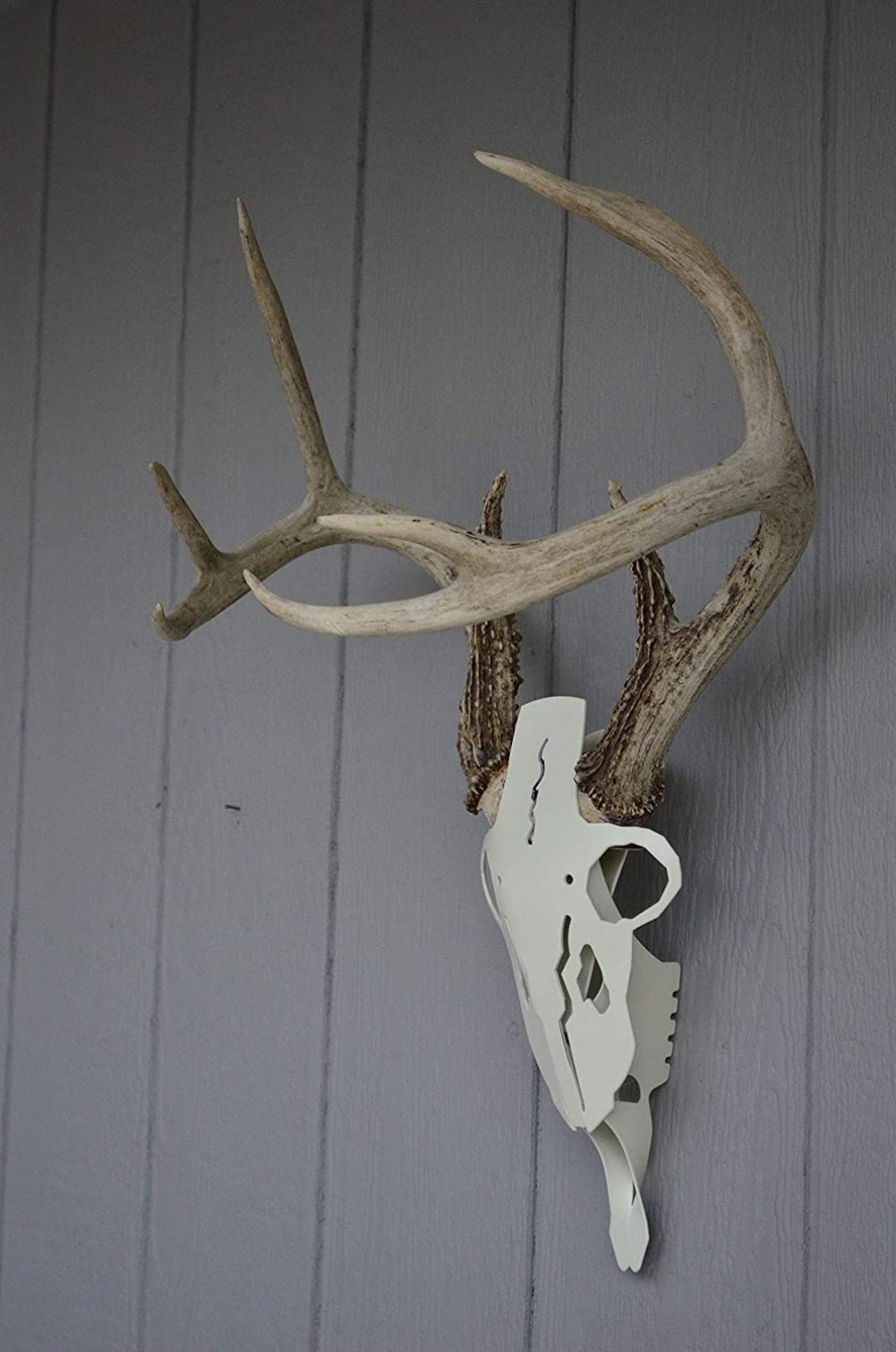 Deer Skull Cap// Antlers // Real Bone Bones & Skulls Home Décor etna.com.pe