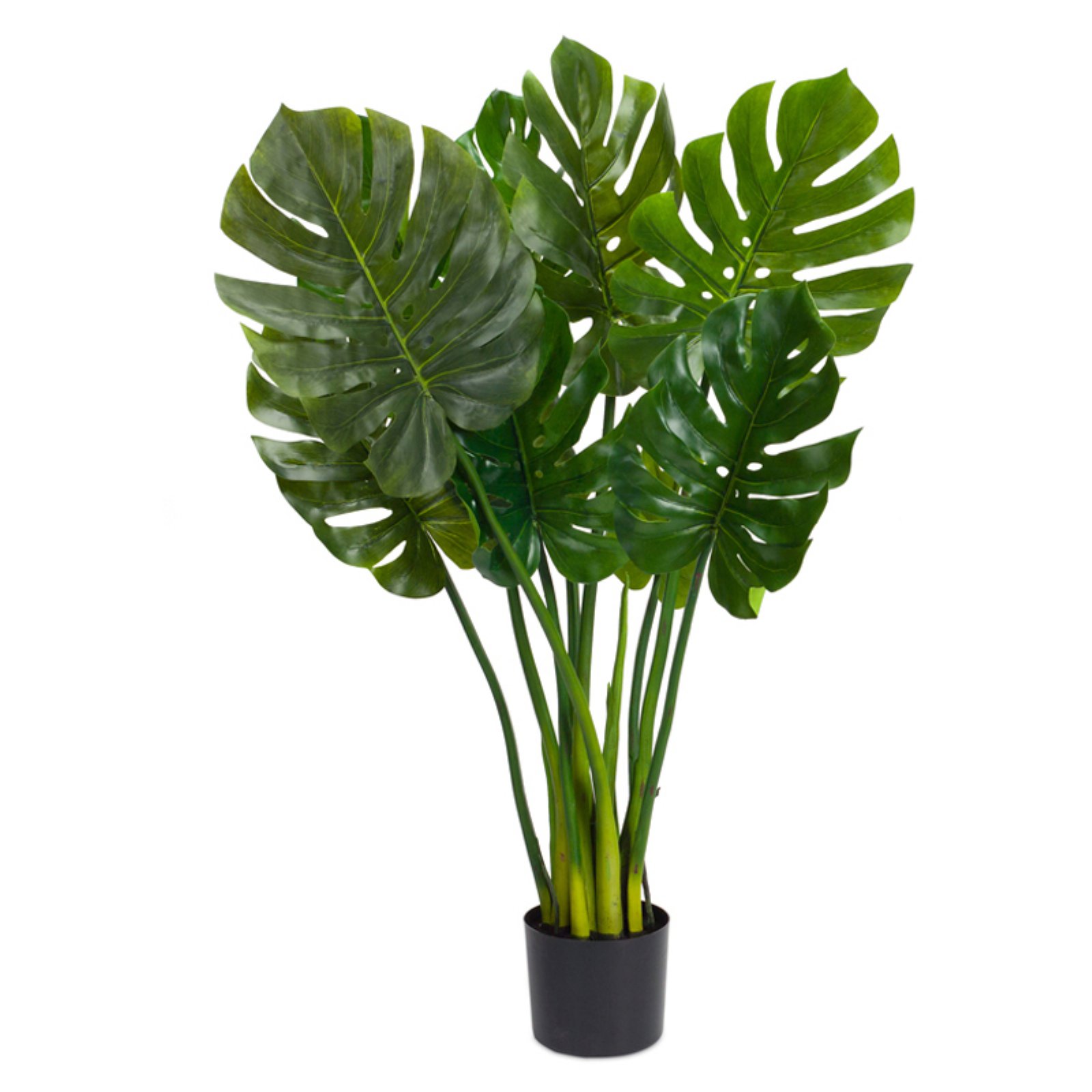 Melrose International Plastic Potted Split Leaf Philo Plant - Set of 2 ...