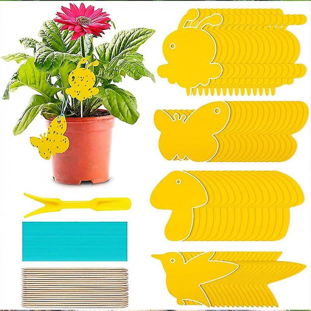 24 piezas de trampa adhesiva amarilla para moscas de la fruta, hongos ...