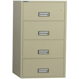 Phoenix Fireproof File Cabinets | Cabinets Matttroy